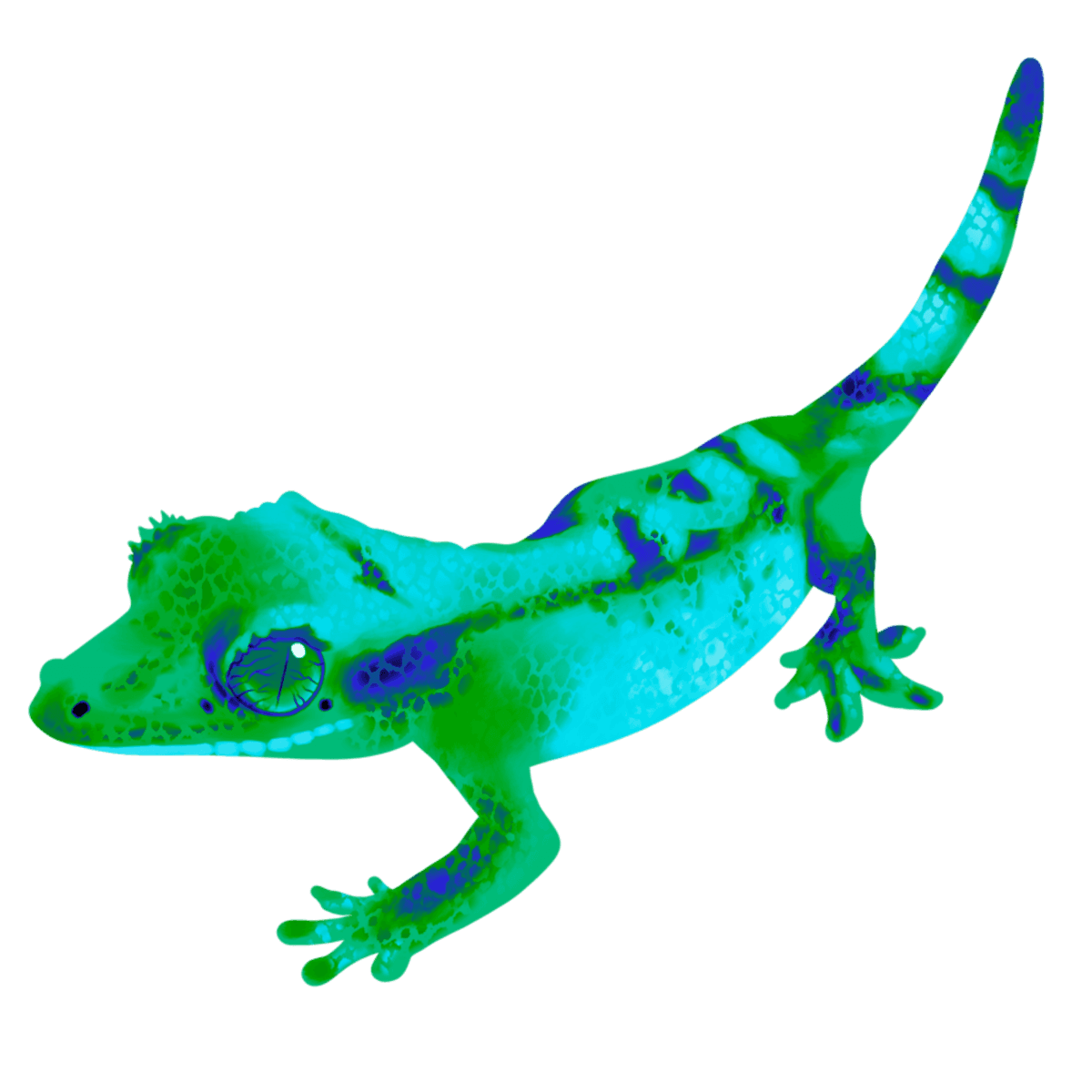 Home - ReptileXChange